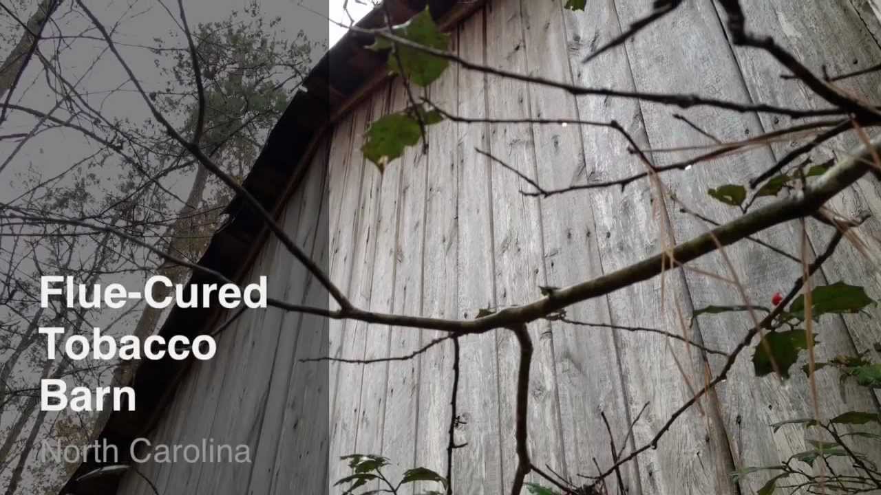 Briar Chapel Flue-Cured Tobacco Barn - YouTube