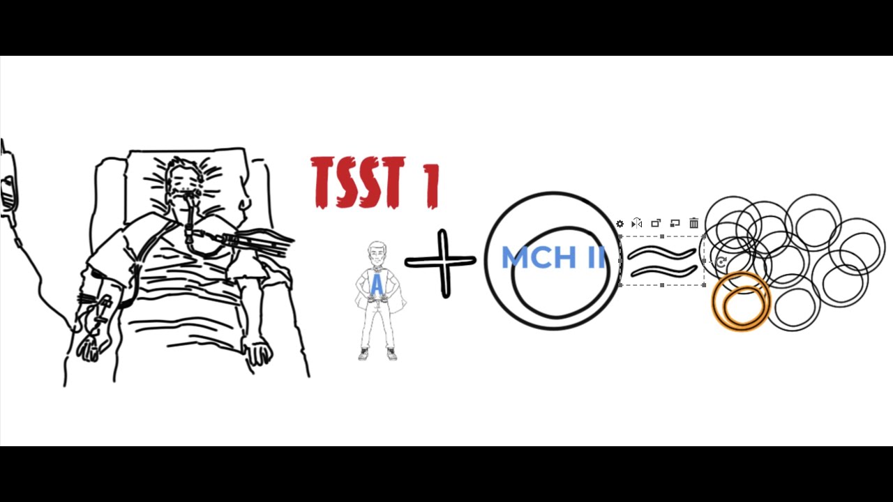 Staphylococcus aureus, USMLE step 1, USMLE step 2, sindrome de choque ...