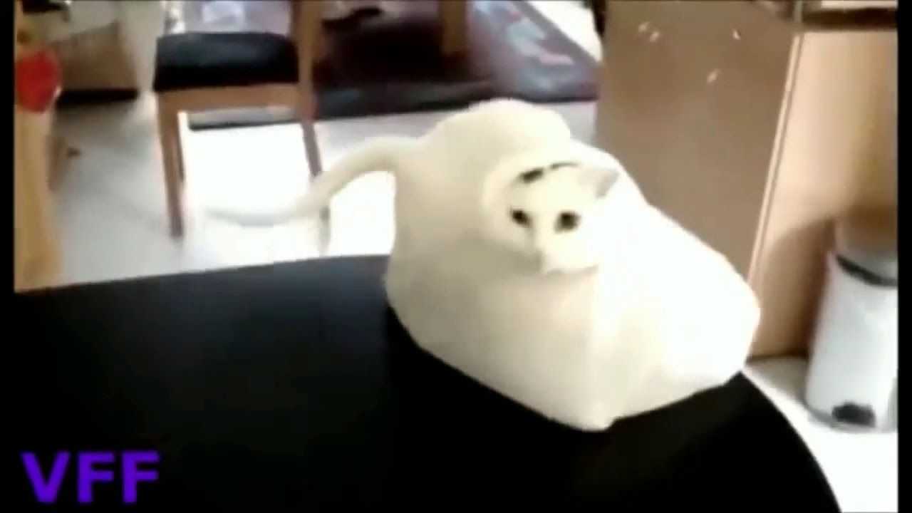 Lucu kucing kaget Ngakak-Kucing Kucingan - YouTube