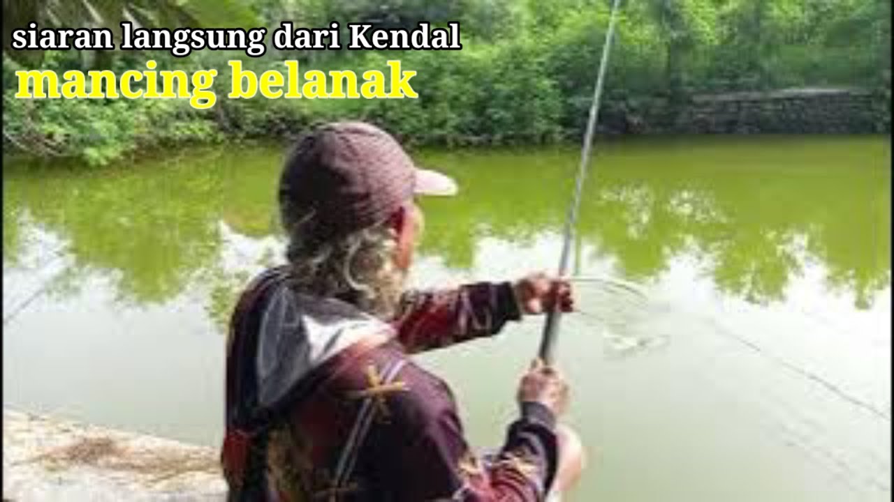 MBP FISHING CHANEL sedang live sekarang! mancing belanak di muara kali lingen - YouTube