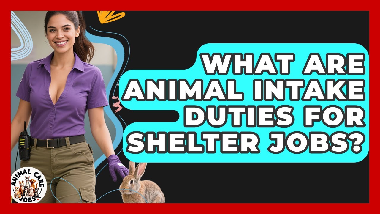 What Are Animal Intake Duties For Shelter Jobs? - Animal Care Jobs ...