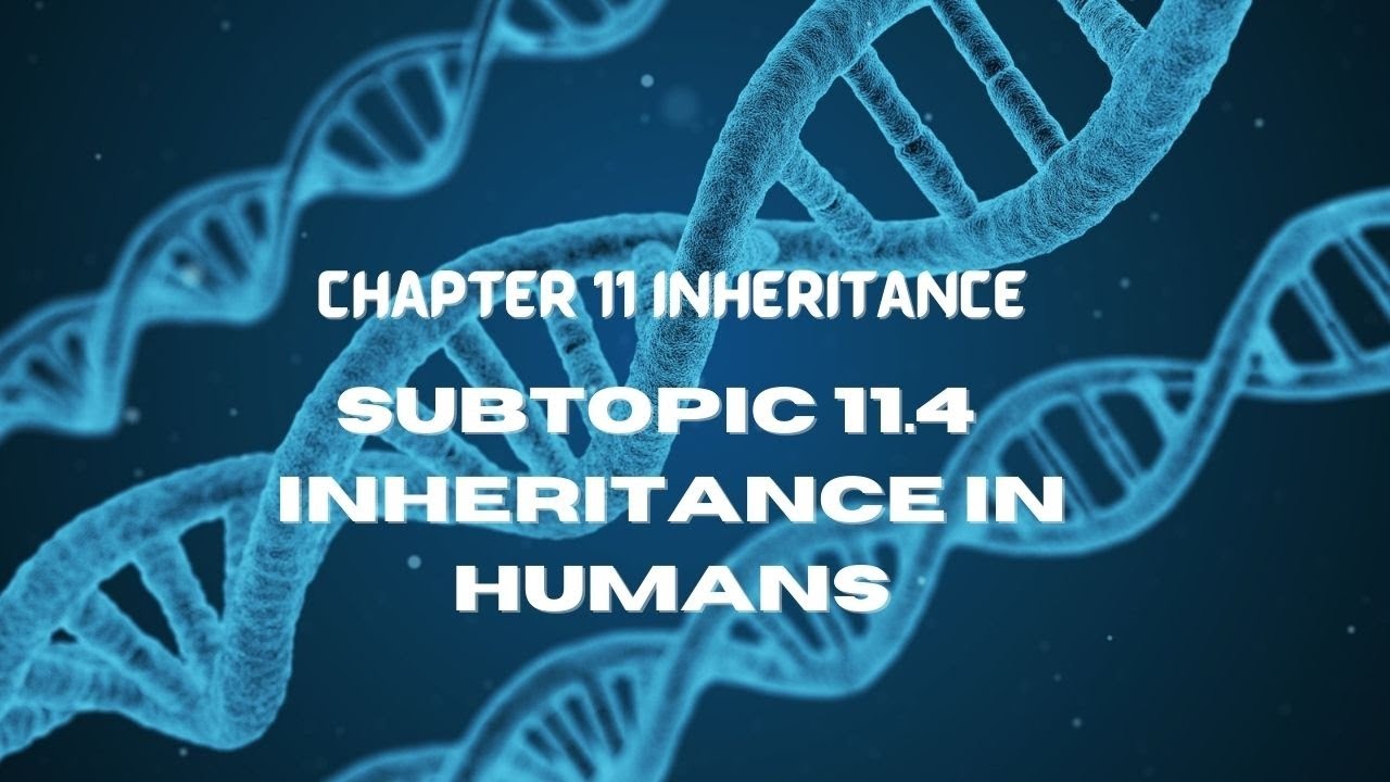 BIOLOGY FORM 5 KSSM : CHAPTER 11 INHERITANCE (SUBTOPIC 11.4) - YouTube