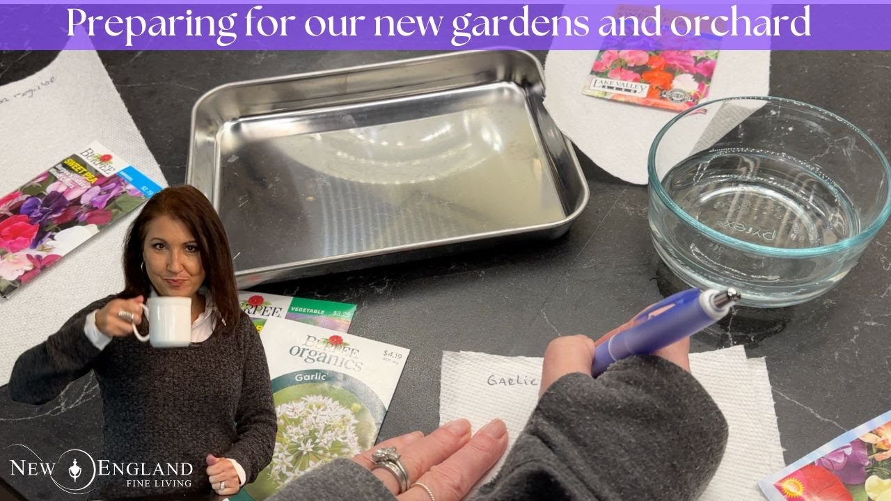 Garden goals, finding a Ben Davis apple tree, and more! - YouTube