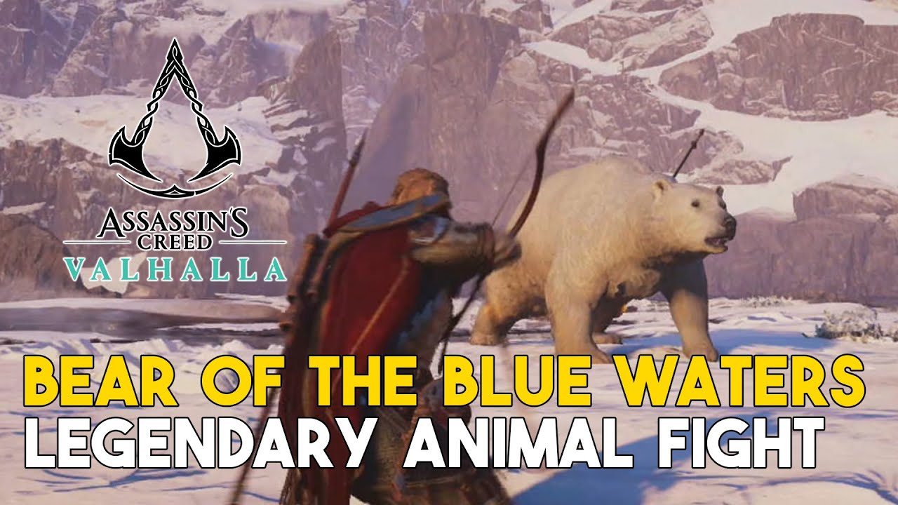 Assassins Creed Valhalla Bear Of The Blue Waters Legendary Animal Fight ...