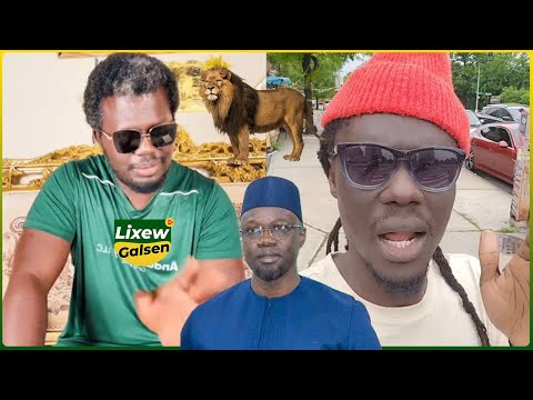 Allahu akbar😱Cheikh Ahmed détruit Mafall fen rek gaye deff do patriote doul ak say gaindé tiktok