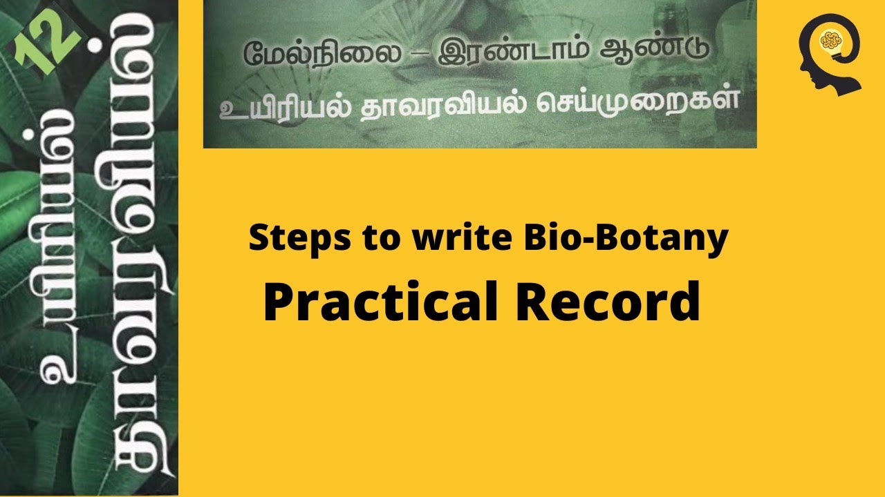 12 th Bio Botany Practical Record (Tamil Medium) - YouTube