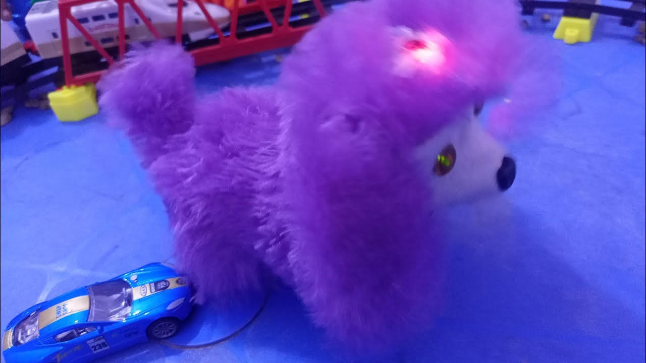 CH DOG #video - YouTube