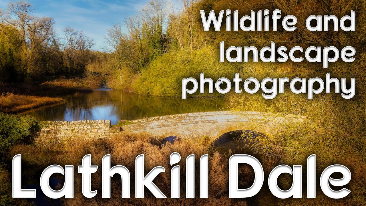 Autumnal Landscape and Wildlife Photography in Lathkill Dale - YouTube