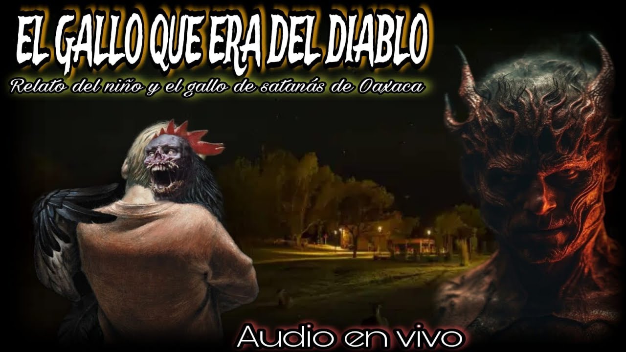 EL GALLO QUE ERA DEL DIABLO / relato real del niño y el gallo de ...