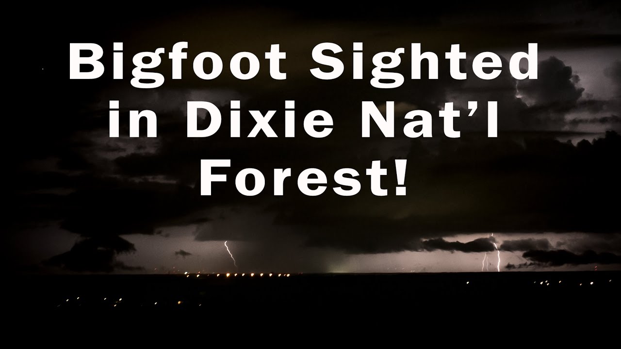 Bigfoot Sighted In Dixie National Forest (Chasing a deer) - YouTube