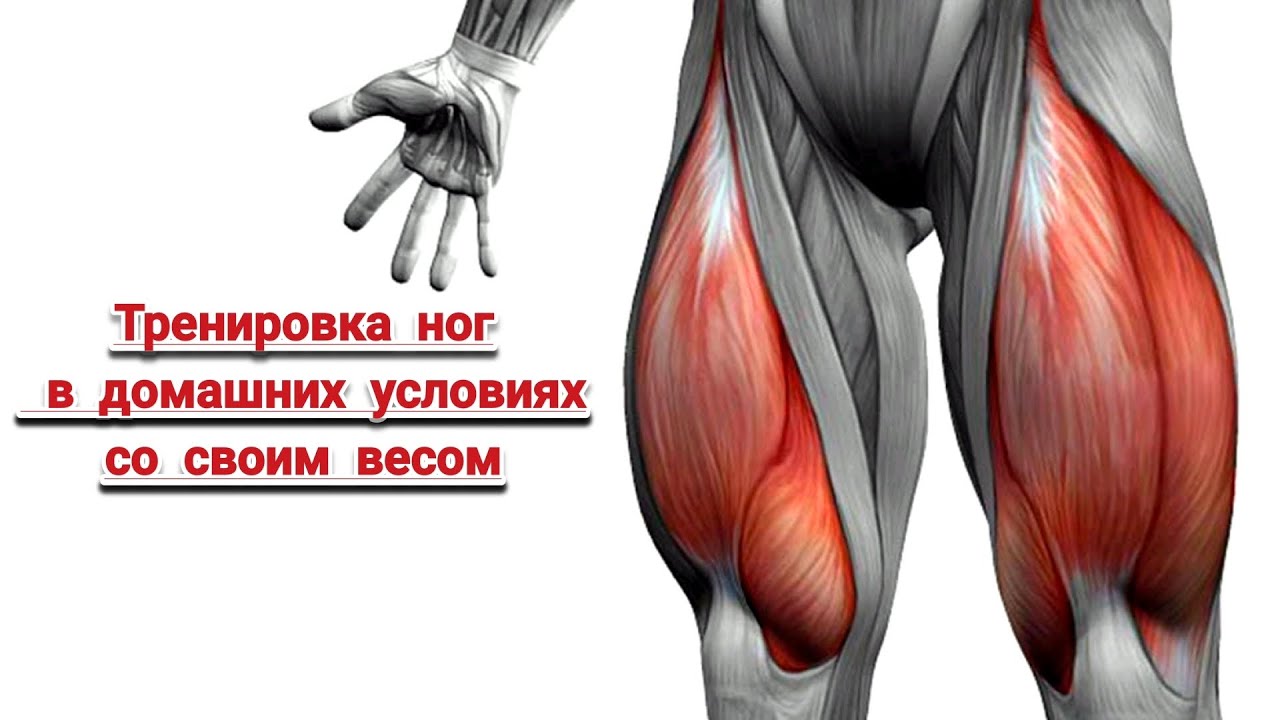 Как накачать ноги в домашних условиях со своим весом Youtube