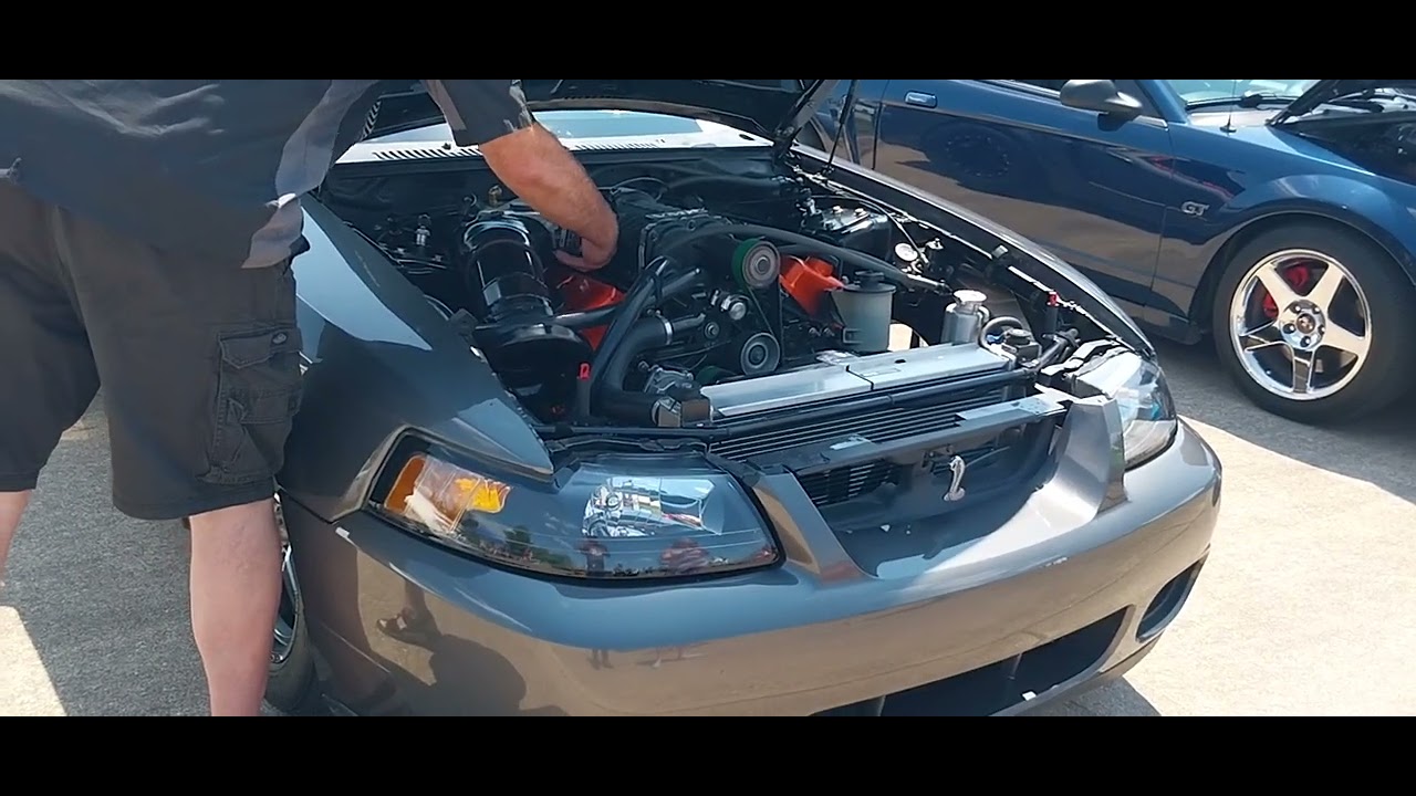 Mustang SVT Terminator Cobra Revs - YouTube