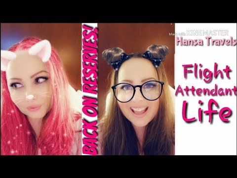 I'm Back on Reserves 😭 Hansa Travels Flight Attendant Life - YouTube