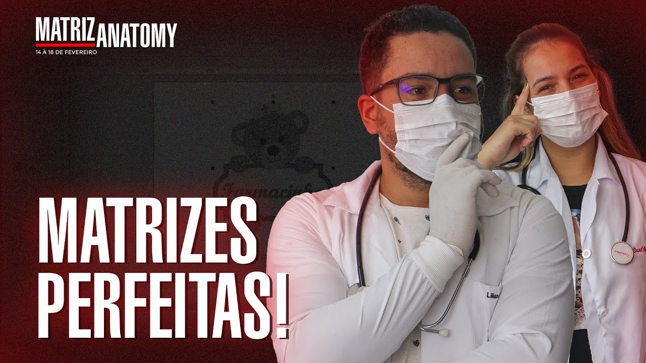 Como Criar Matrizes Perfeitas || Matriz Anatomy - YouTube