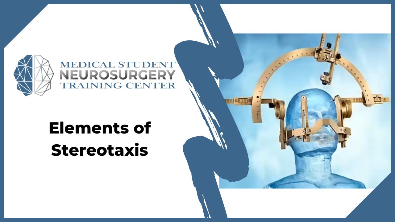 Elements of Stereotaxis - YouTube