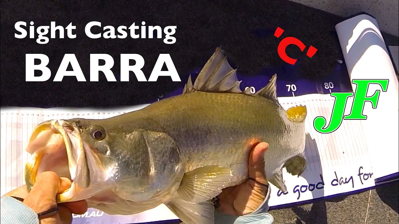 Sight casting Barramundi Barra catch Just the Fish Videos EP.252c - YouTube