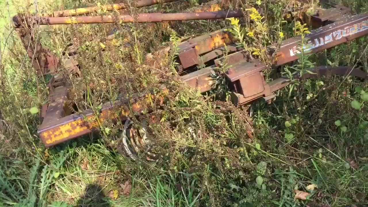 Cows V plow and feed - YouTube