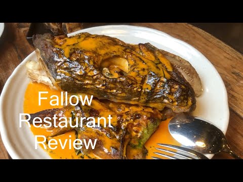 Fallow RESTAURANT LONDON REVIEW - YouTube