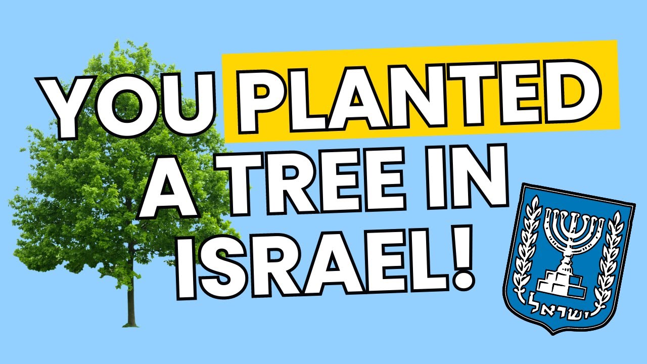 We're rebuilding the Shoresh Forest in Israel - YouTube