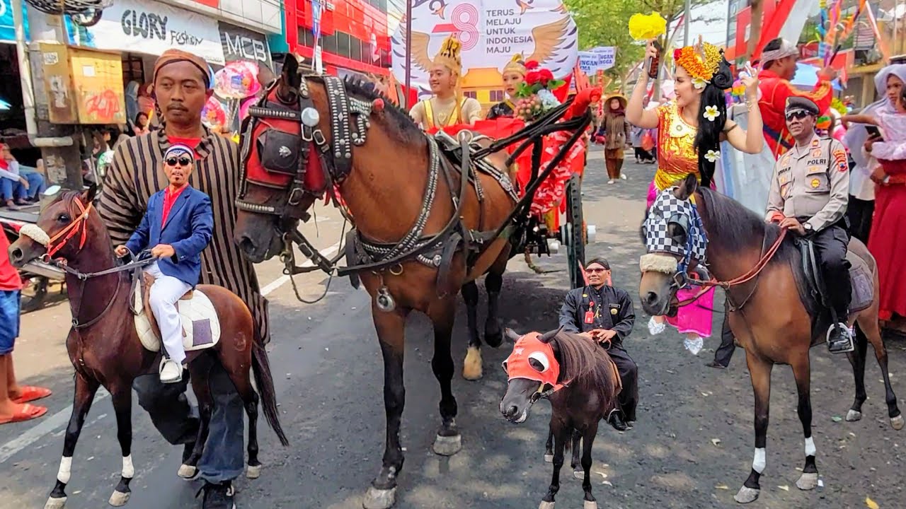 Kuda - Ngarak Kuda Delman Karnaval Budaya Kuda Dokar - Delman - Kuda ...