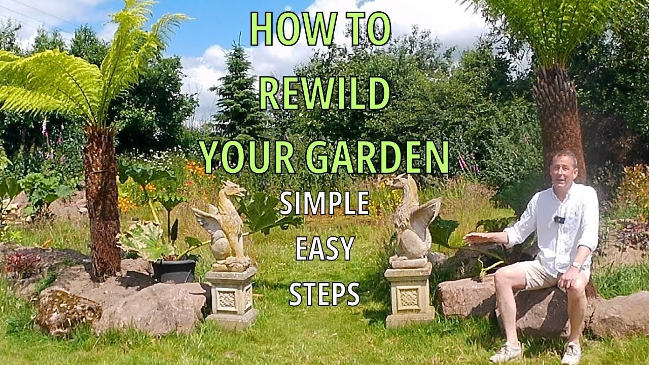 How to REWILD your garden | How to encourage WILDLIFE and NATURE into ...