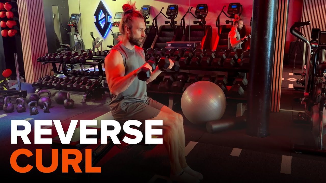 Reverse Curl | Proper Form Tutorial for Forearm & Arm Strength - YouTube