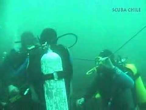 Buceo en Chile, Scuba Chile, Dive in Chile - YouTube