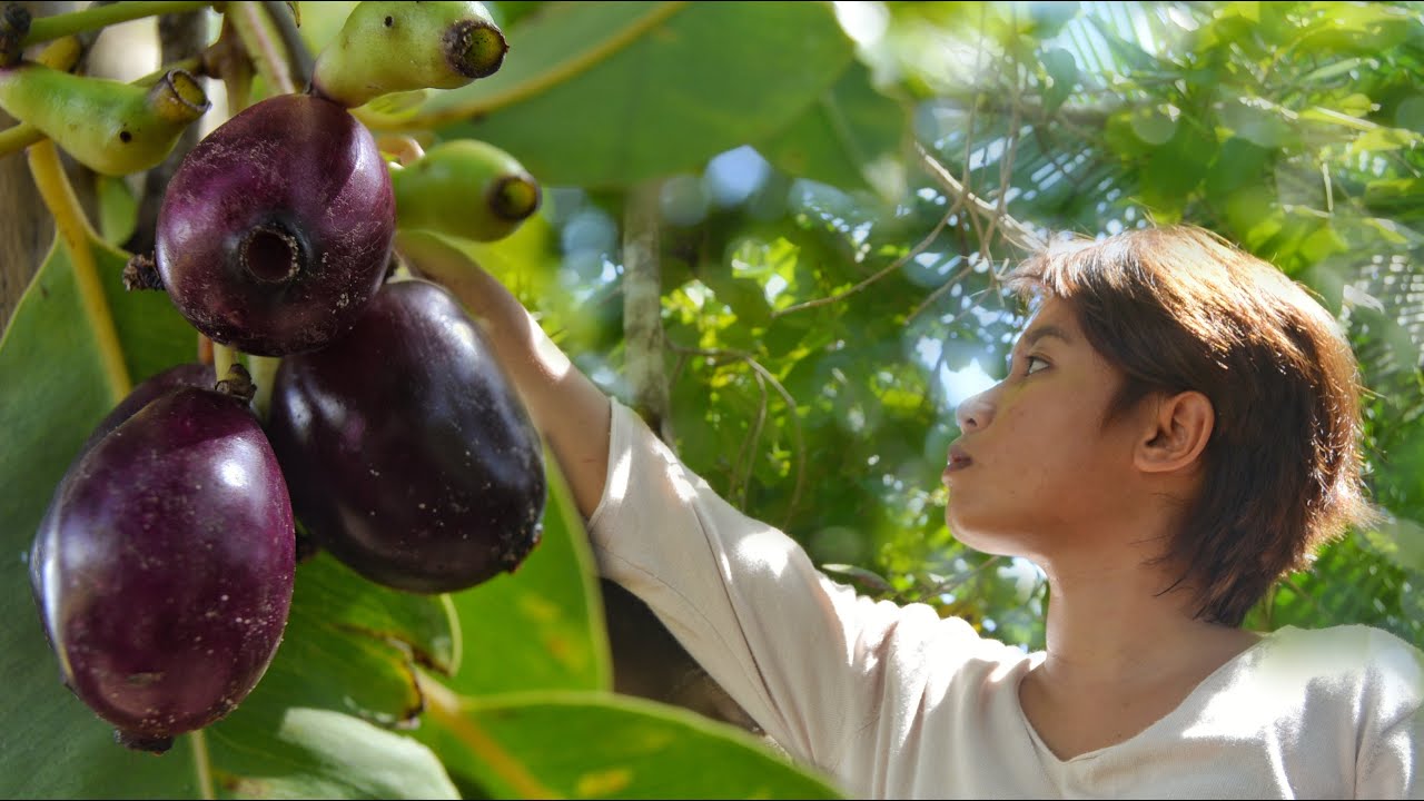 Farm to Table | Duhat Jam (Java Plum) | Life in the Countryside - YouTube
