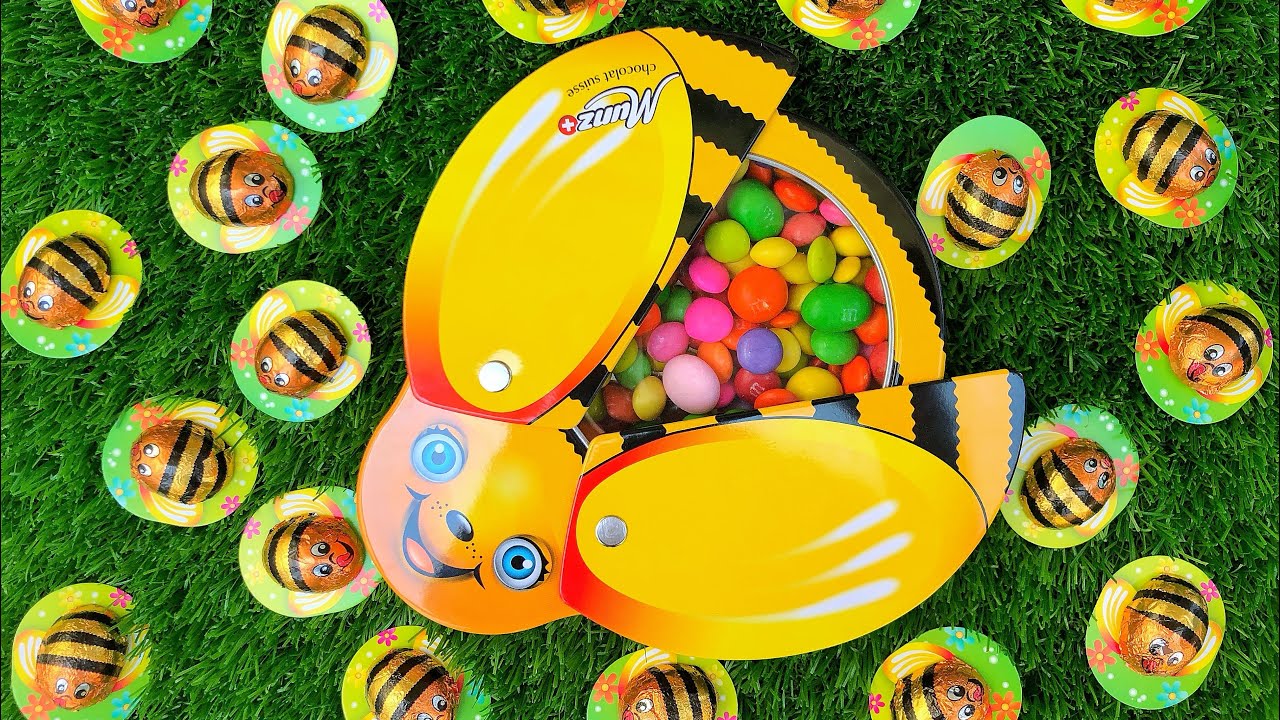 Satisfying ASMR | Color Bee Full of Skittles Candy with Rainbow Fruits ...