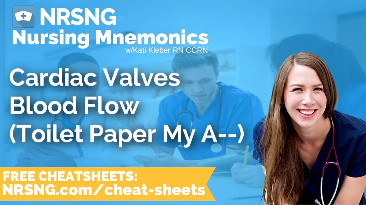Cardiac Valves Blood Flow Toilet Paper My A** Nursing Mnemonics ...