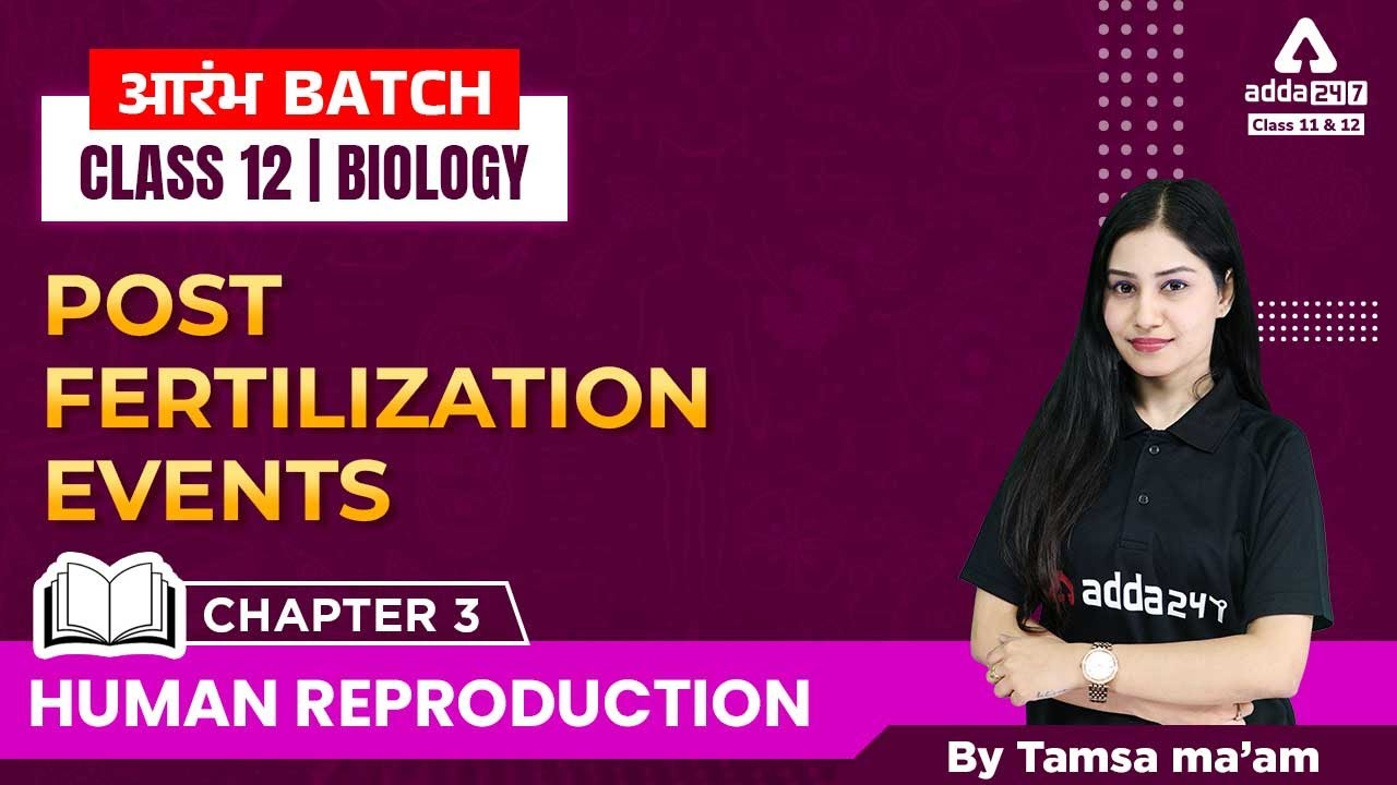 post-fertilization-events-class-12-human-reproduction-class-12