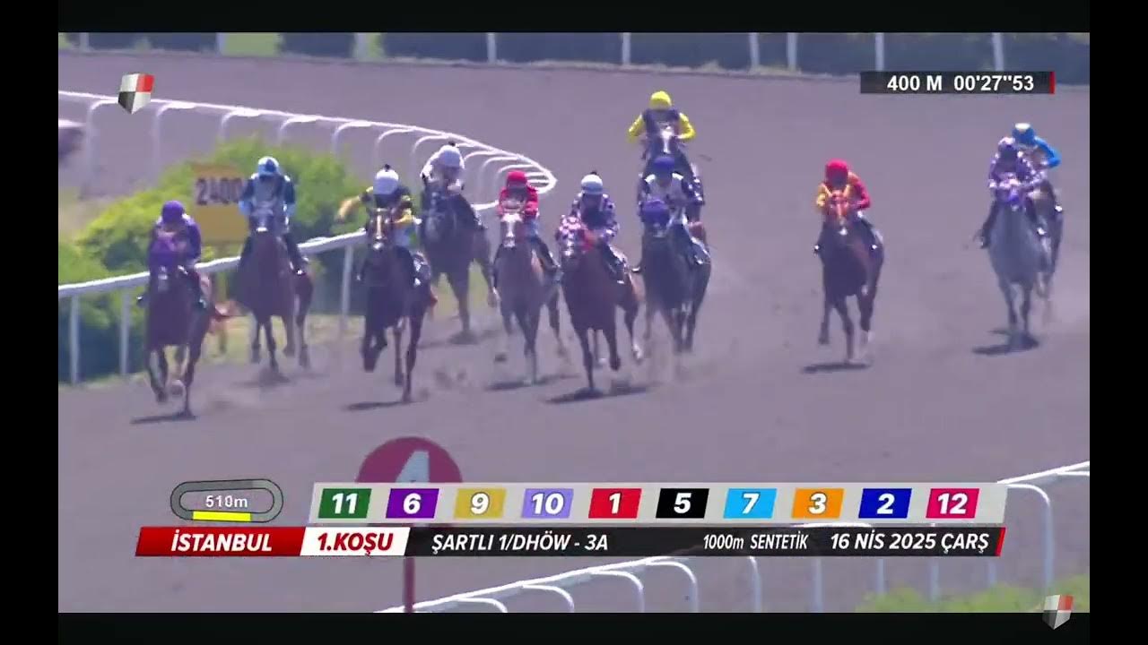 İstanbul 1.Koşu (TJK TV) - YouTube