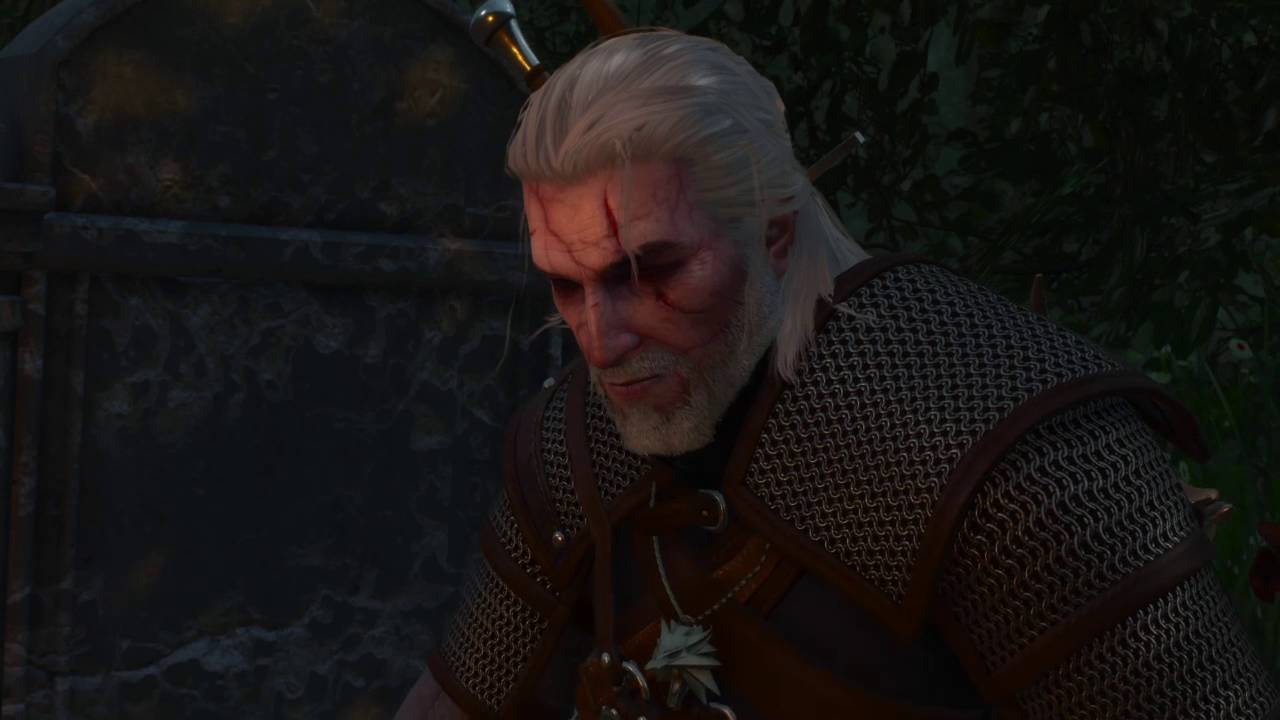 The Witcher 3 Wild Hunt: Blood and Wine - Geralt and Regis Dialogue ...