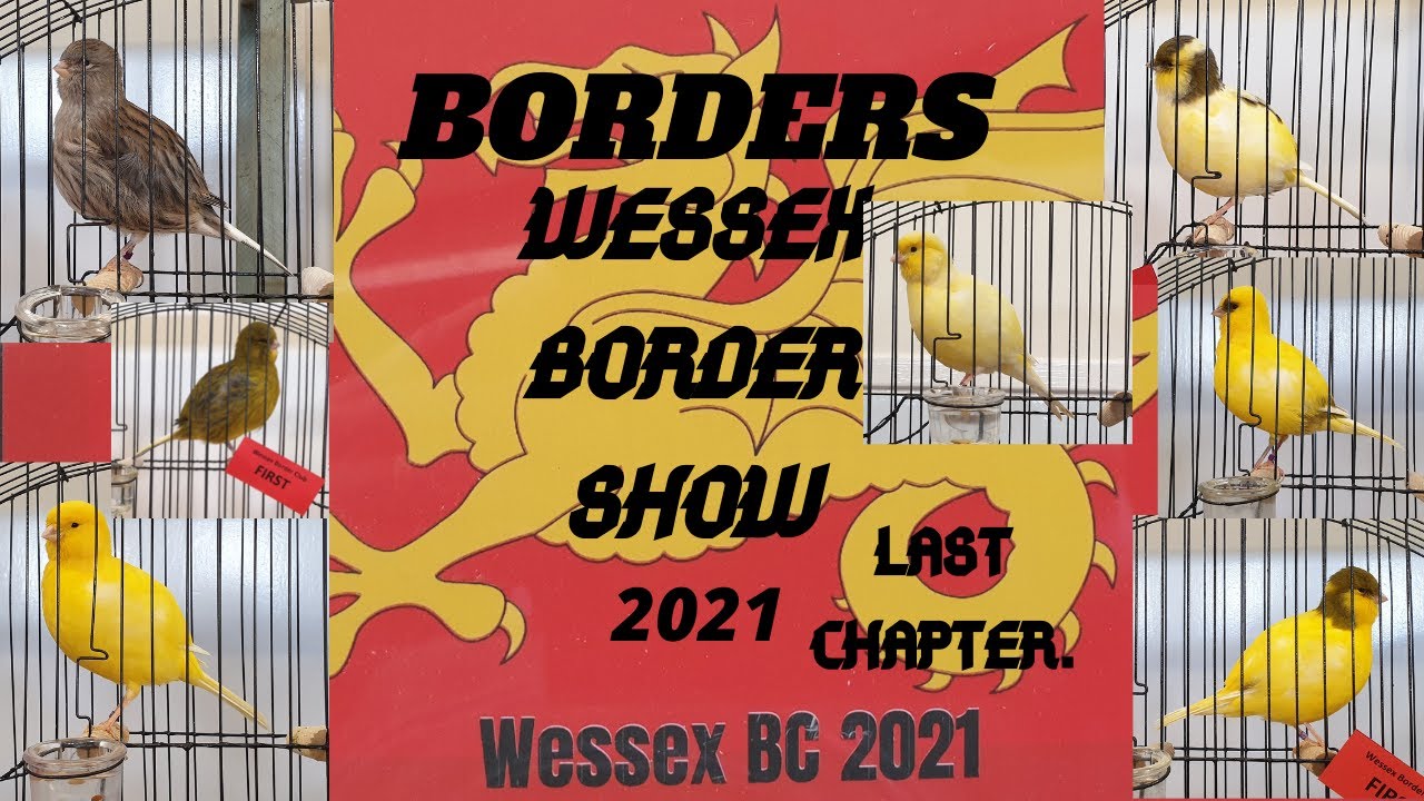 BORDERS, WESSEX BORDER SHOW 2021, LAST CHAPTER - YouTube