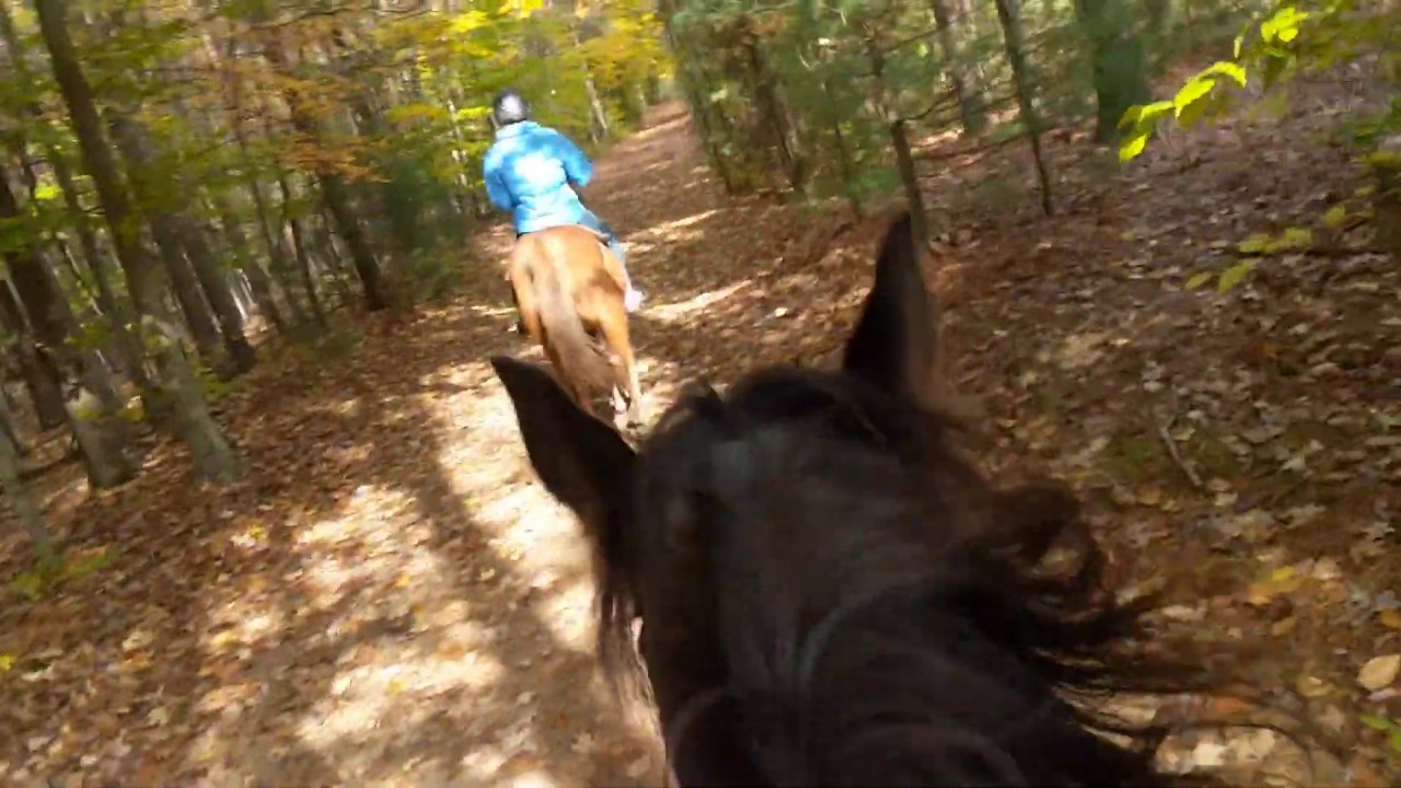Trail Ride -- Galloping (FAIL) - YouTube