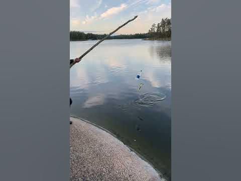 Сделал удочку из дерева - YouTube