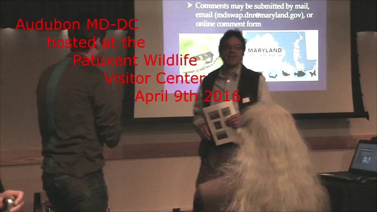 1Bird1Vote Bird Conservation Summit Dan Rauch - YouTube