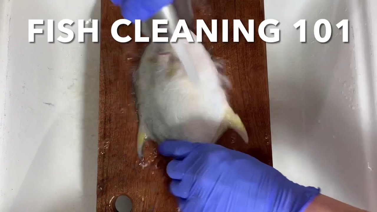 HOW TO CLEAN POMPANO FISH / BABALA:LAHAT NG ISDA AY MAARING MAKALASON ...