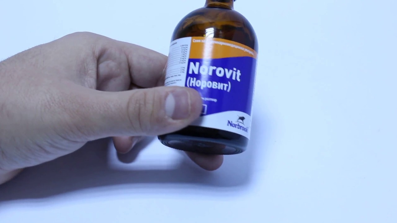 NOROVIT - YouTube
