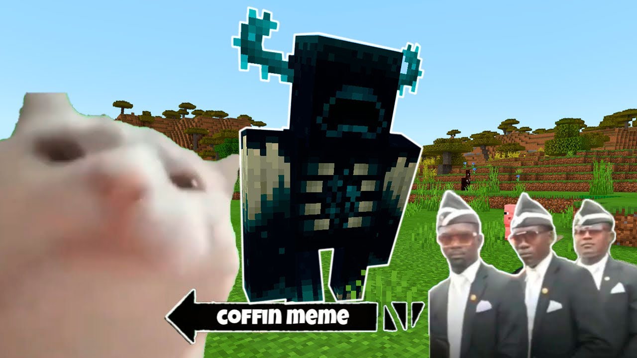 Coffin Meme but Cat is Vibing Part 6 - Minecraft - YouTube