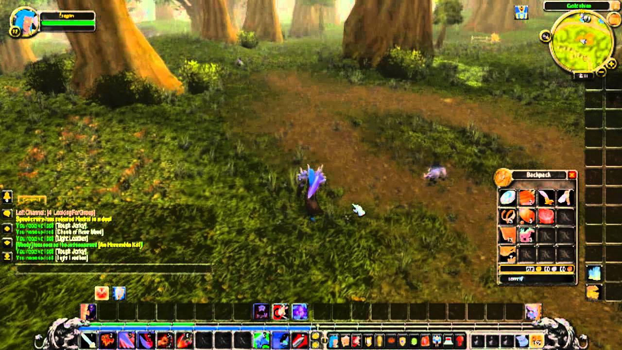 World of Warcraft | Gold Guide | Low Levels | Commentary | *2011* | Pt ...