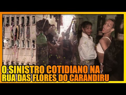 COMO ERA ORGANIZADO O PAVIMENTO GAY DO CARANDIRU