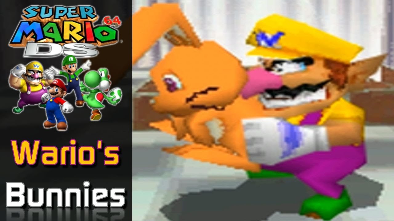 Super Mario 64 DS - Wario's Bunny Location (Bonus #1) - YouTube