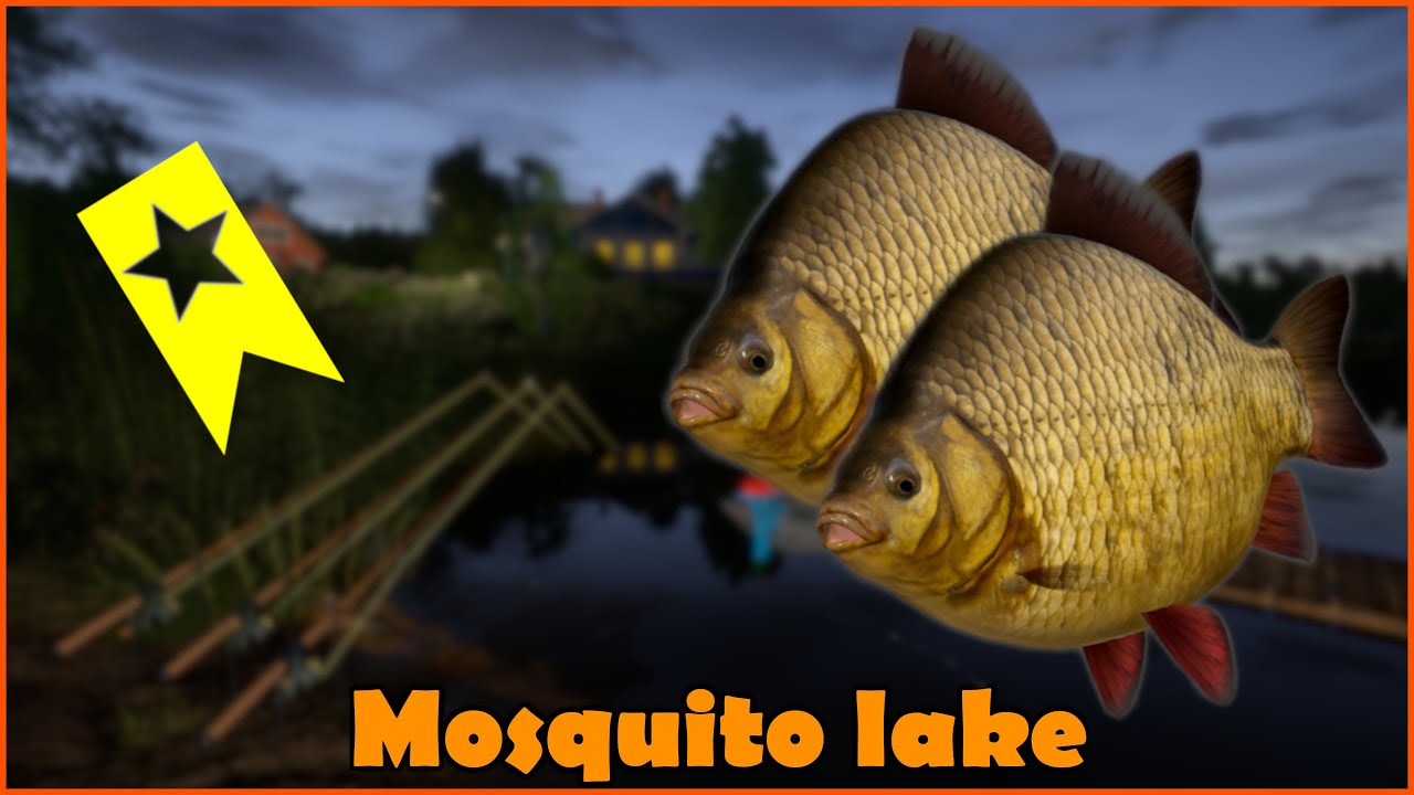 Russian Fishing 4 Mosquito lake - Komarówka | Trophy Crucian CARP RF4 ...