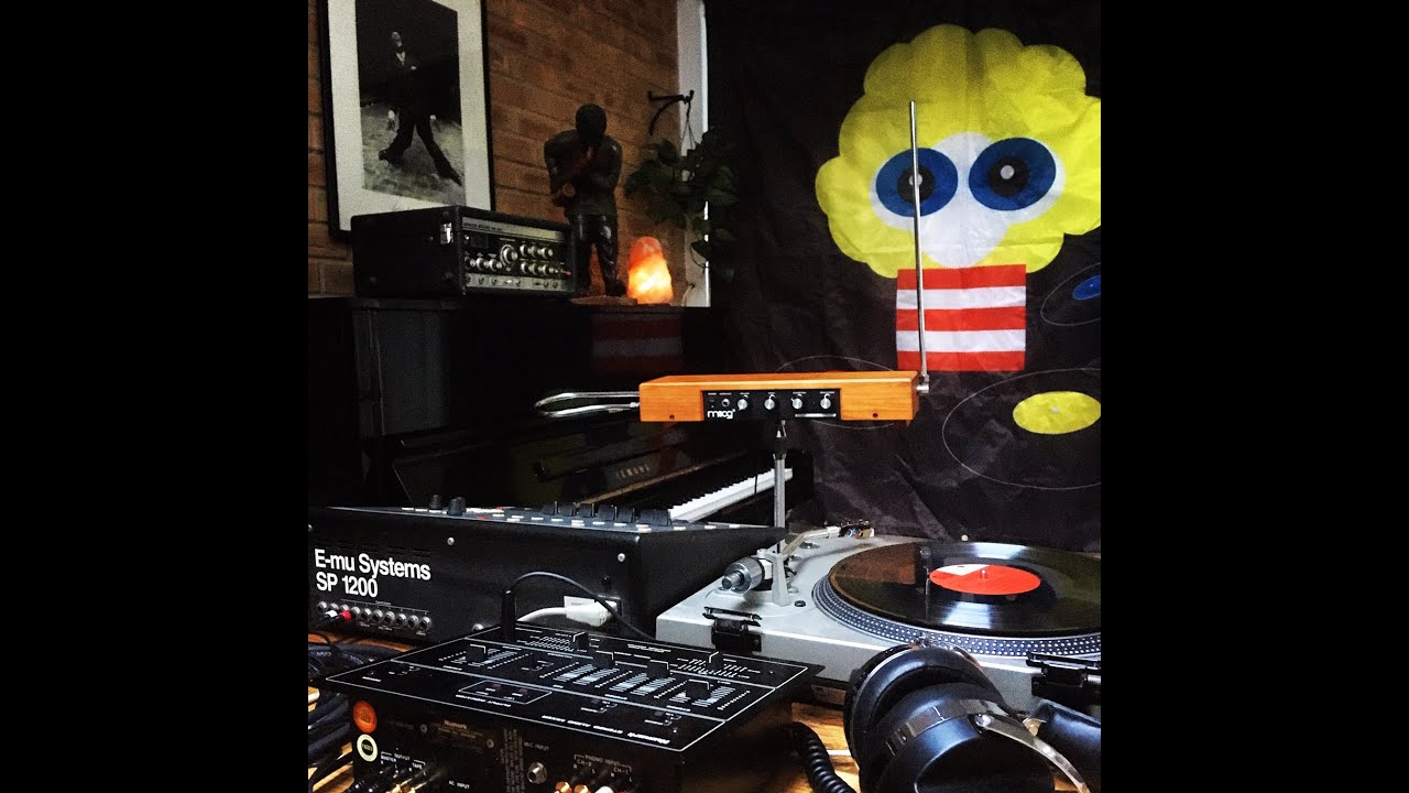 MOOG THEREMIN & ROLAND SPACE ECHO 201 - YouTube