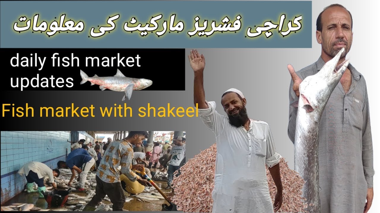 seafood | karachi fish market | fish market in Pakistan | - YouTube