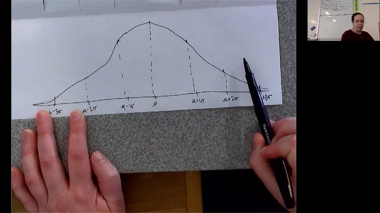 Prob & Stat 5.6 Making your Standard Normal Curve Foldable - YouTube