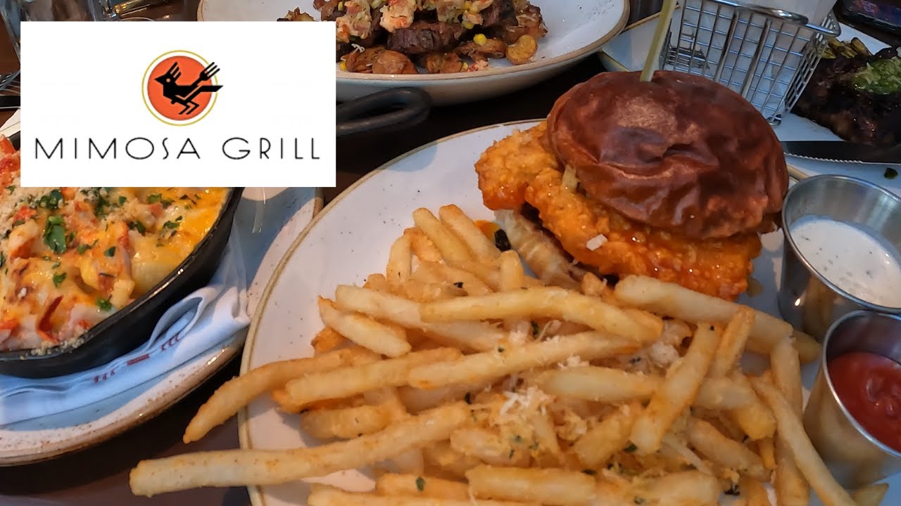 MIMOSA GRILL RESTAURANT REVIEW | FAMILY OUTING | CHARLOTTE, NC - YouTube