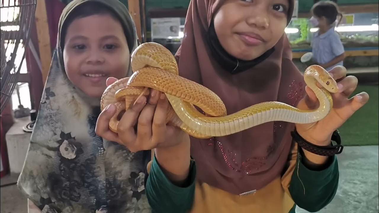 Taman Rekreasi Gunung Lang Petting Zoo Ipoh YouTube taman-rekreasi-gunung-lang-petting-zoo-ipoh-youtube