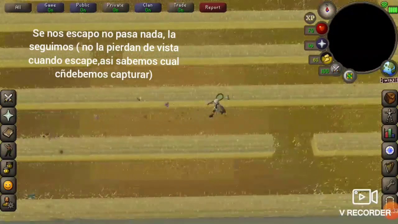 #Runescape #OSRS #PuroPuro MoneyMaking puro puro ! 700k 1h. - YouTube